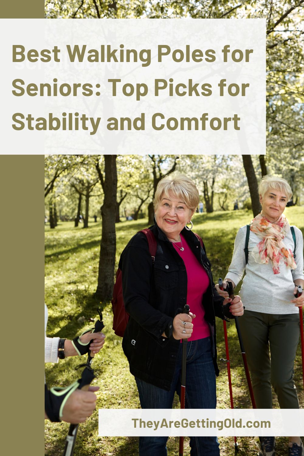 Best Walking Poles for Seniors: Top Picks for Stability and Comfort ...