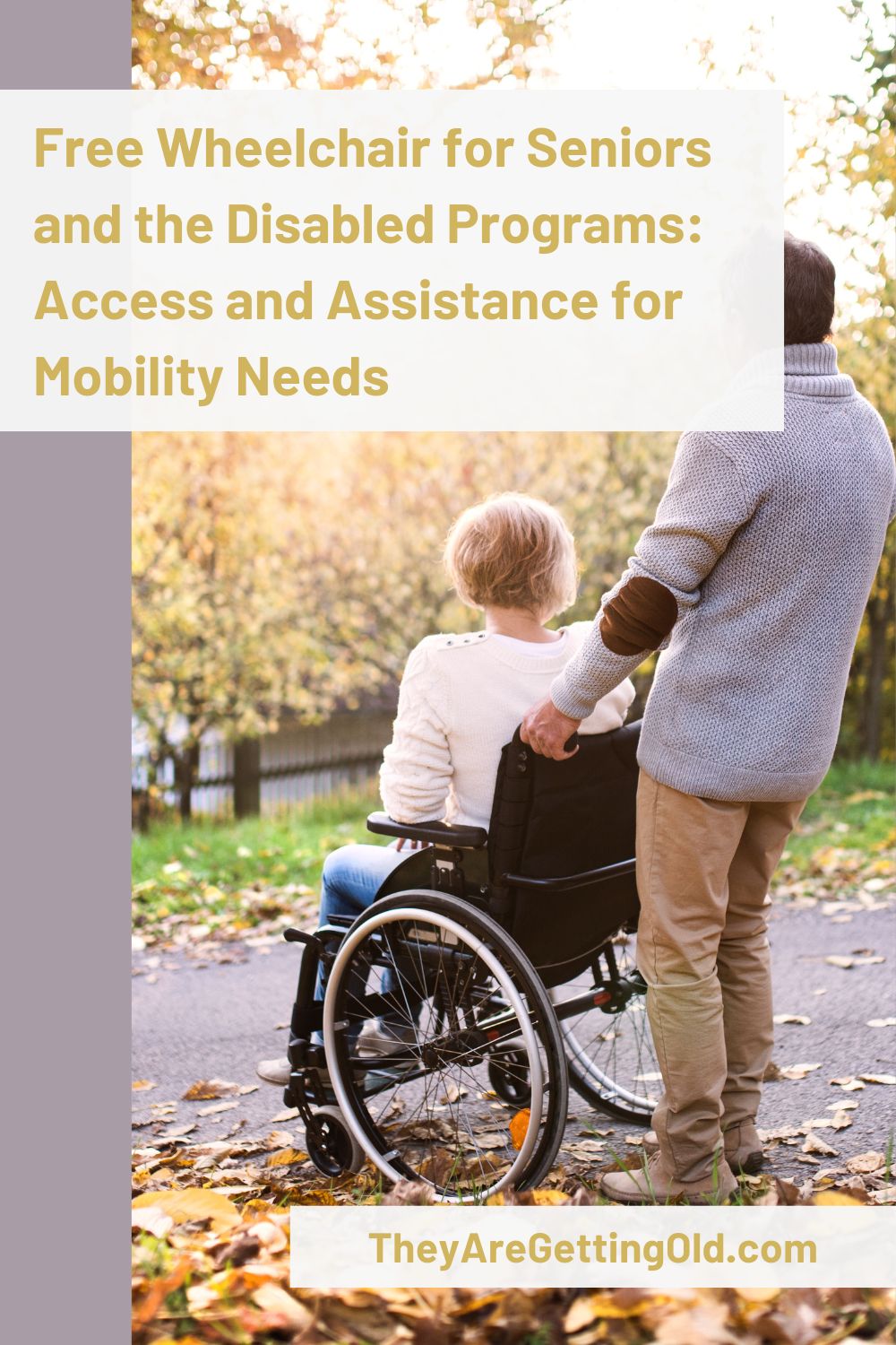 Free Wheelchair for Seniors and the Disabled Programs: Access and ...